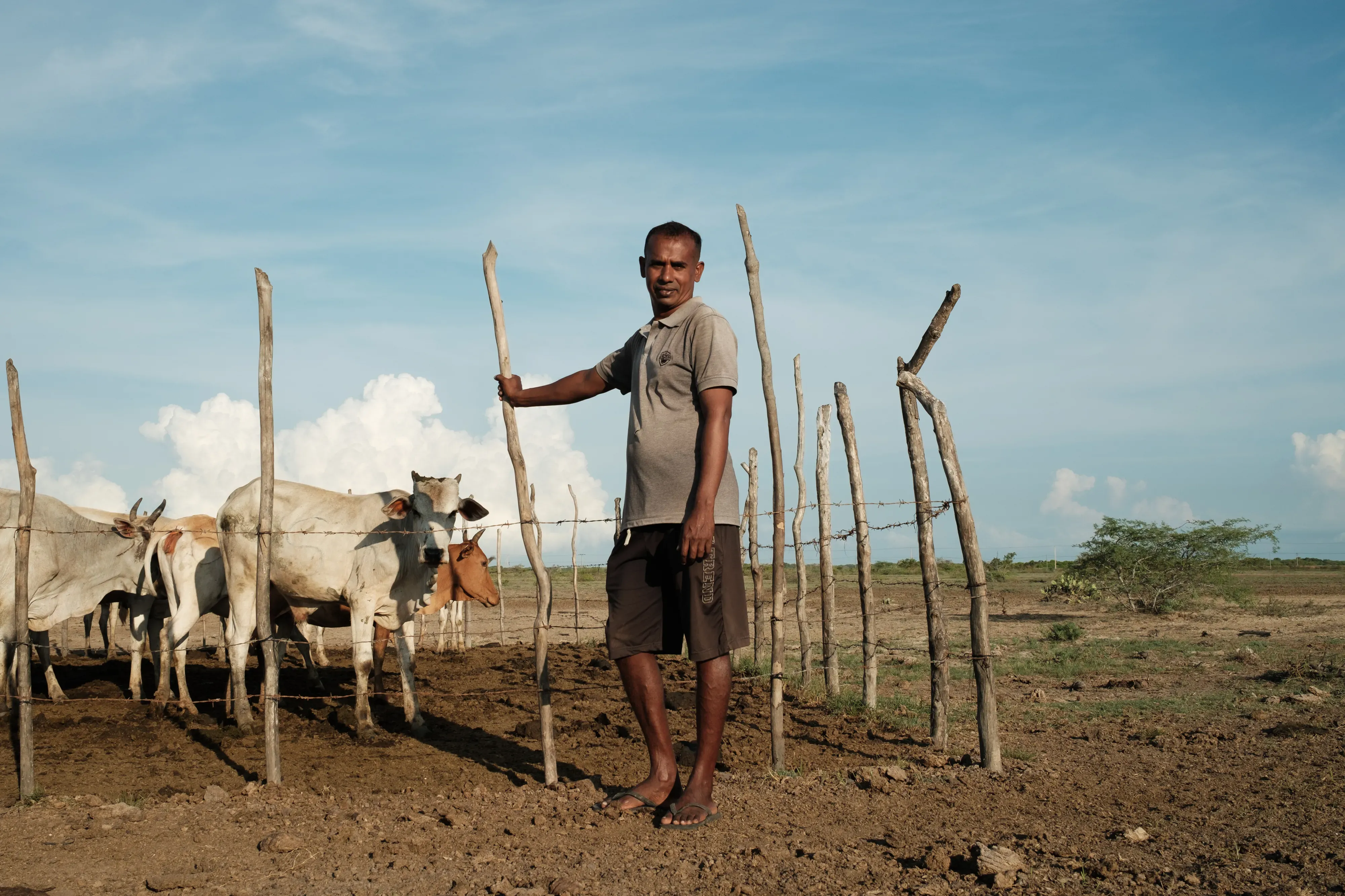 Climate Change Brings a New Emergency to the Tamil Homeland in Sri ...